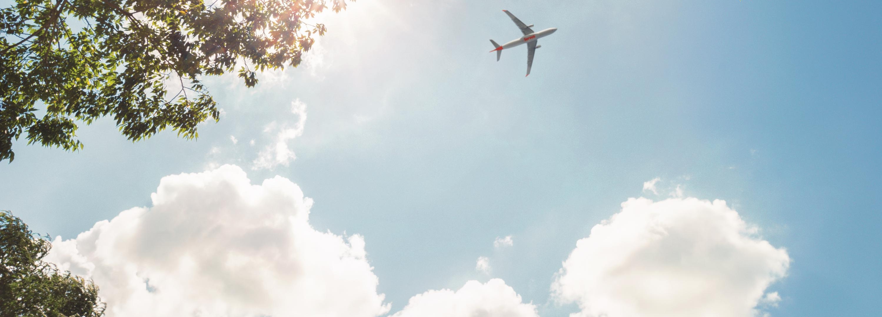 Book flights now - explore dream destinations with Austrian | Austrian ...